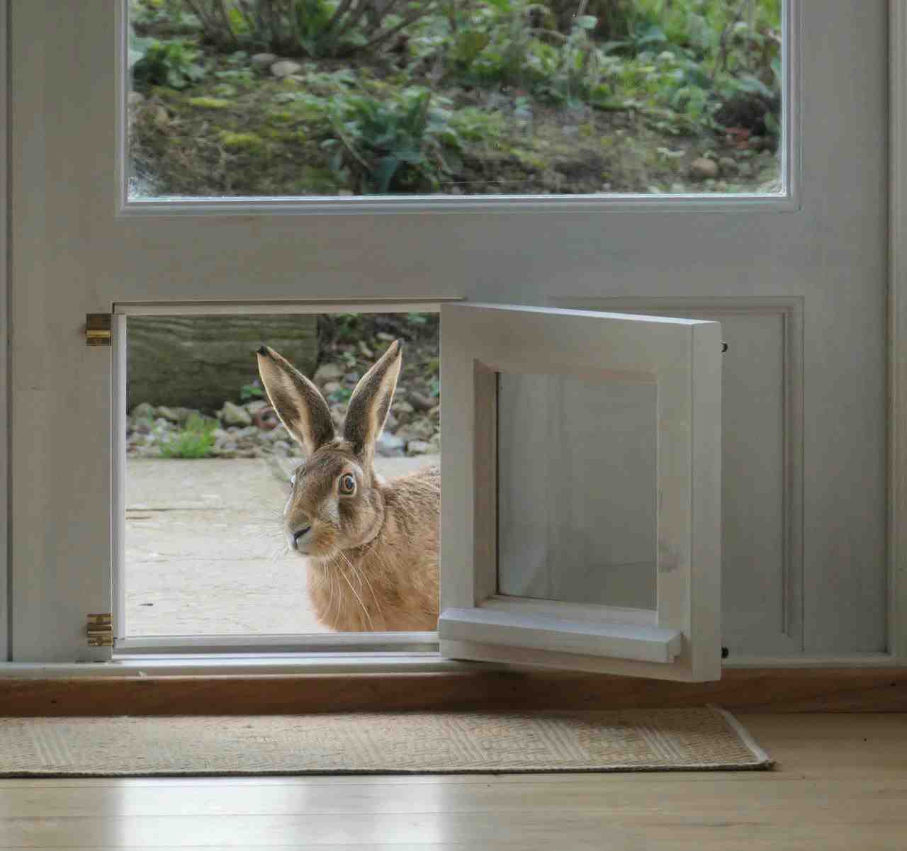 The House | 'Utterly captivating and poignant': Anthony Mangnall ...